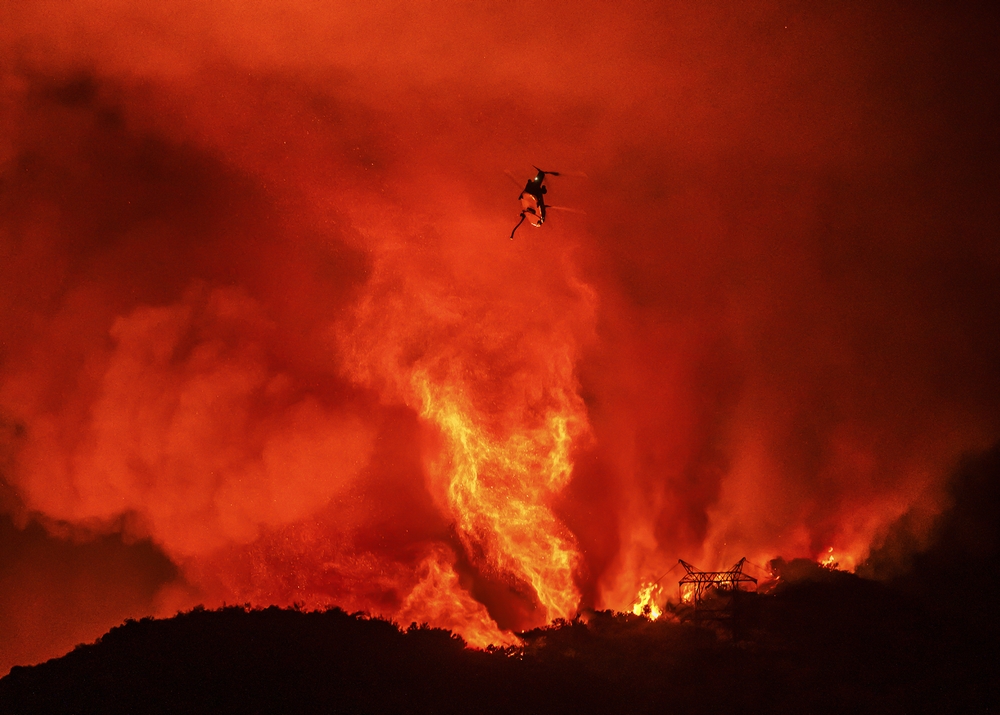 The Great Betrayal: How Politicians Are Sacrificing California ...